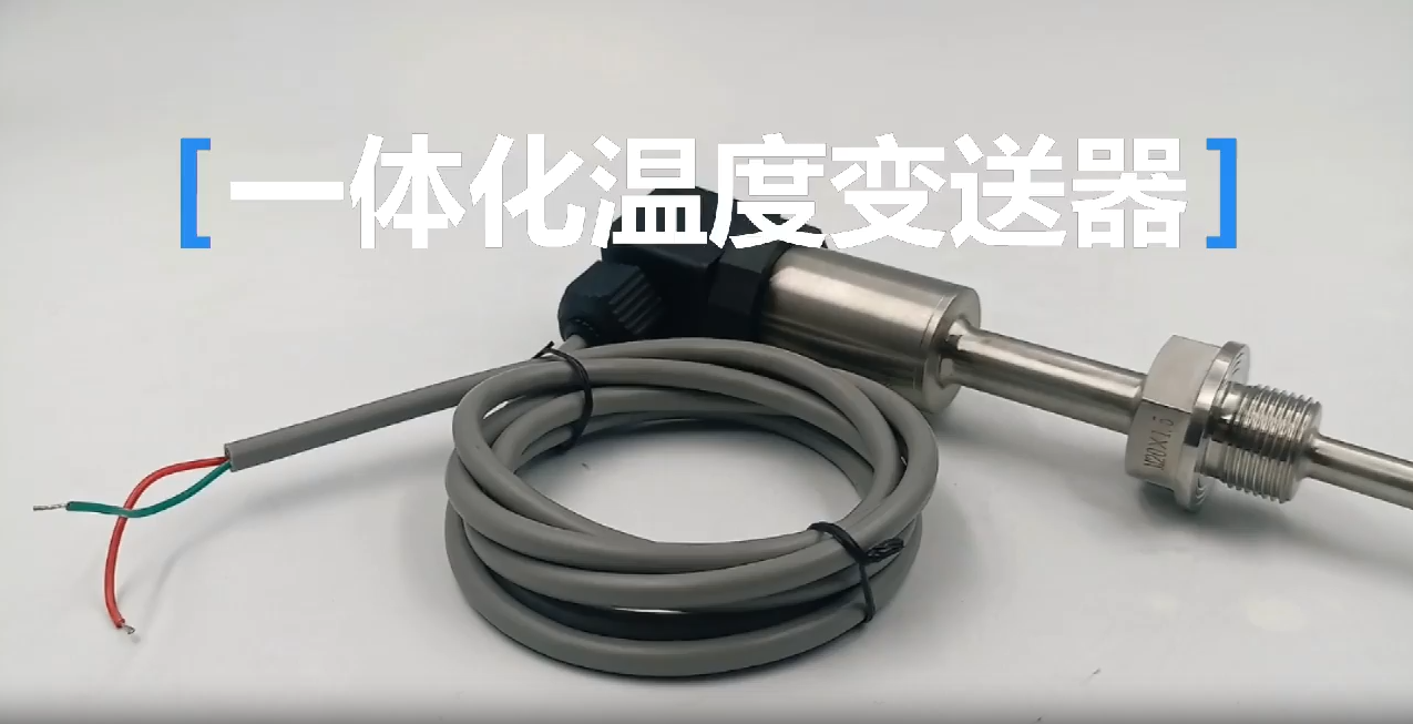 T202 temperature sensor__banses